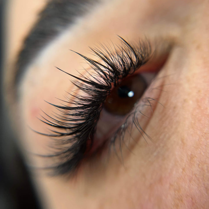 White Flamingo Lash - Modern Lash Supply - Adhesive, Premades, Trays